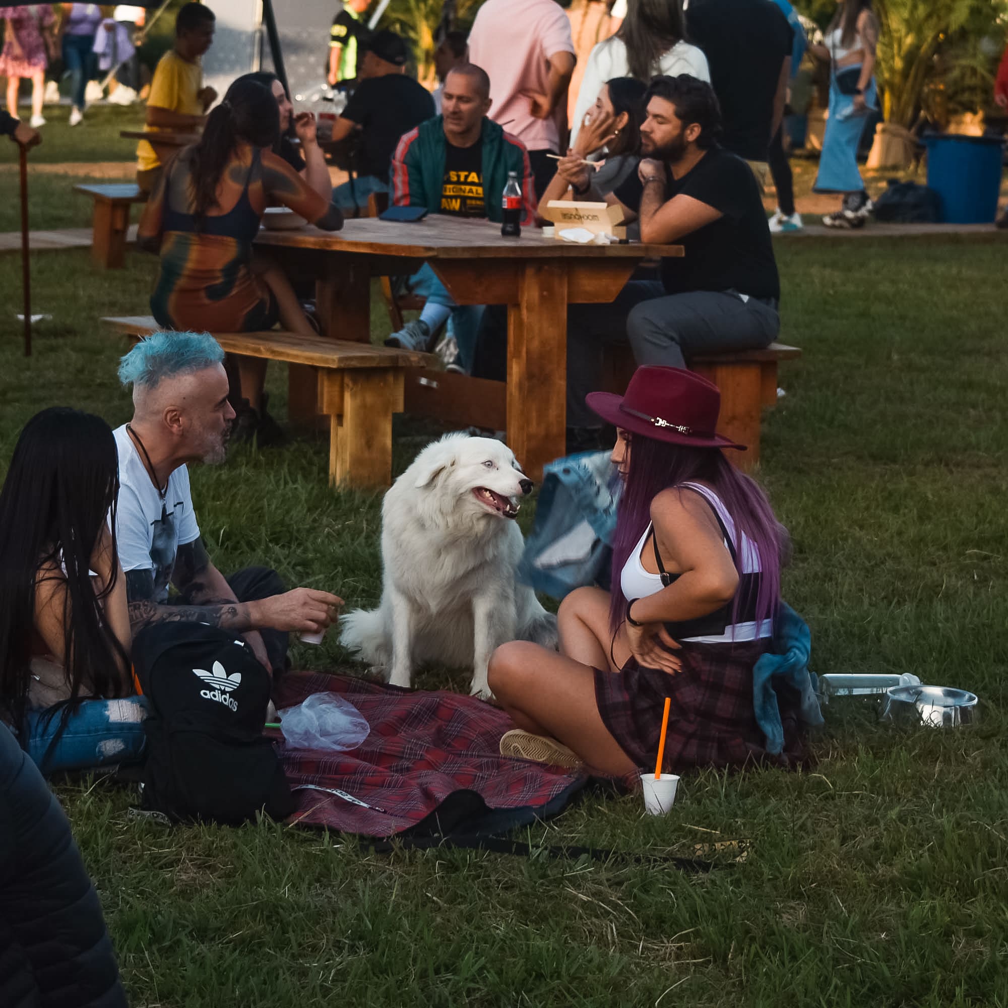 Claq Pop Up – Claq Pop Up