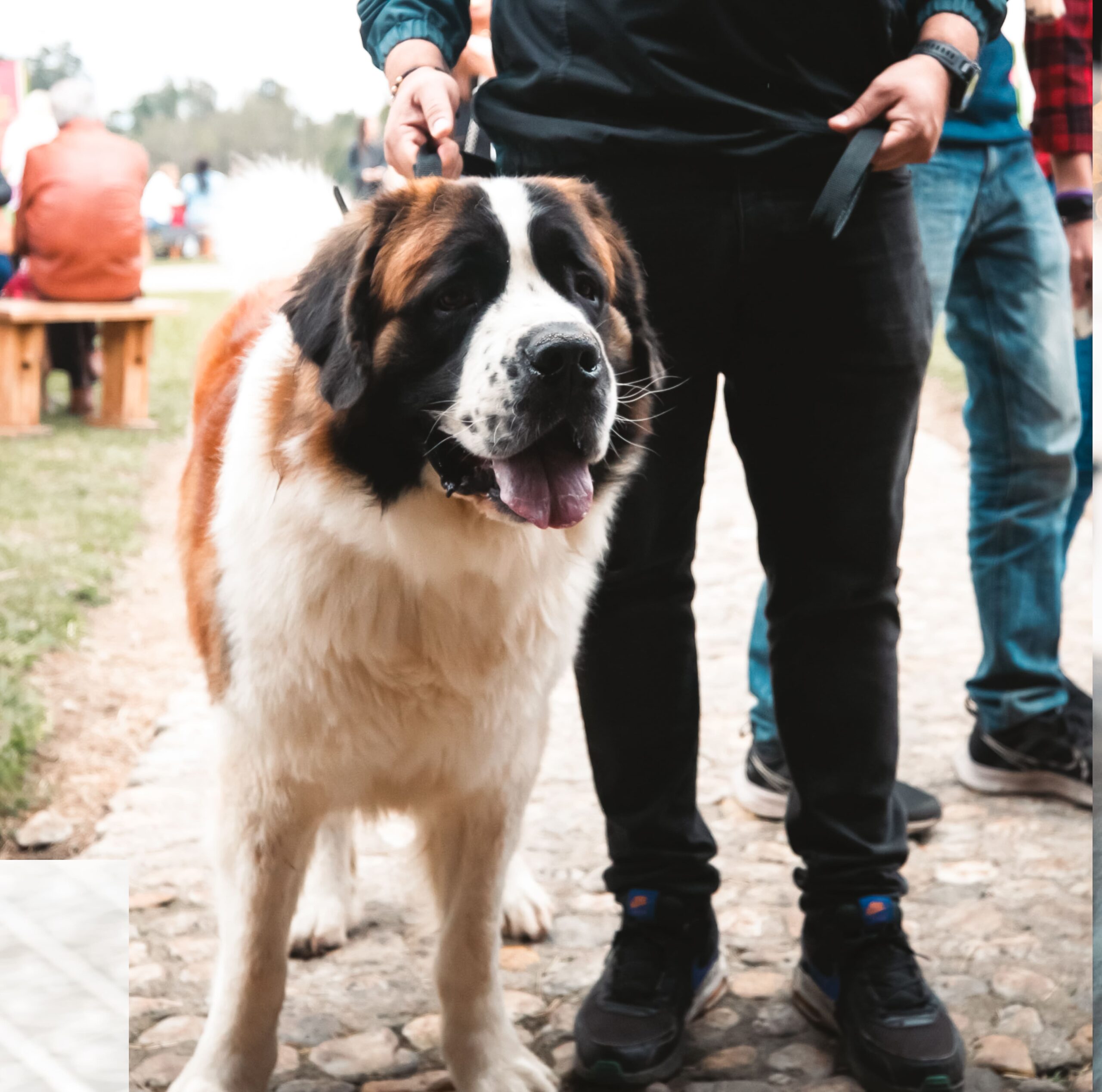 Claq Pop Up – Claq Pop Up