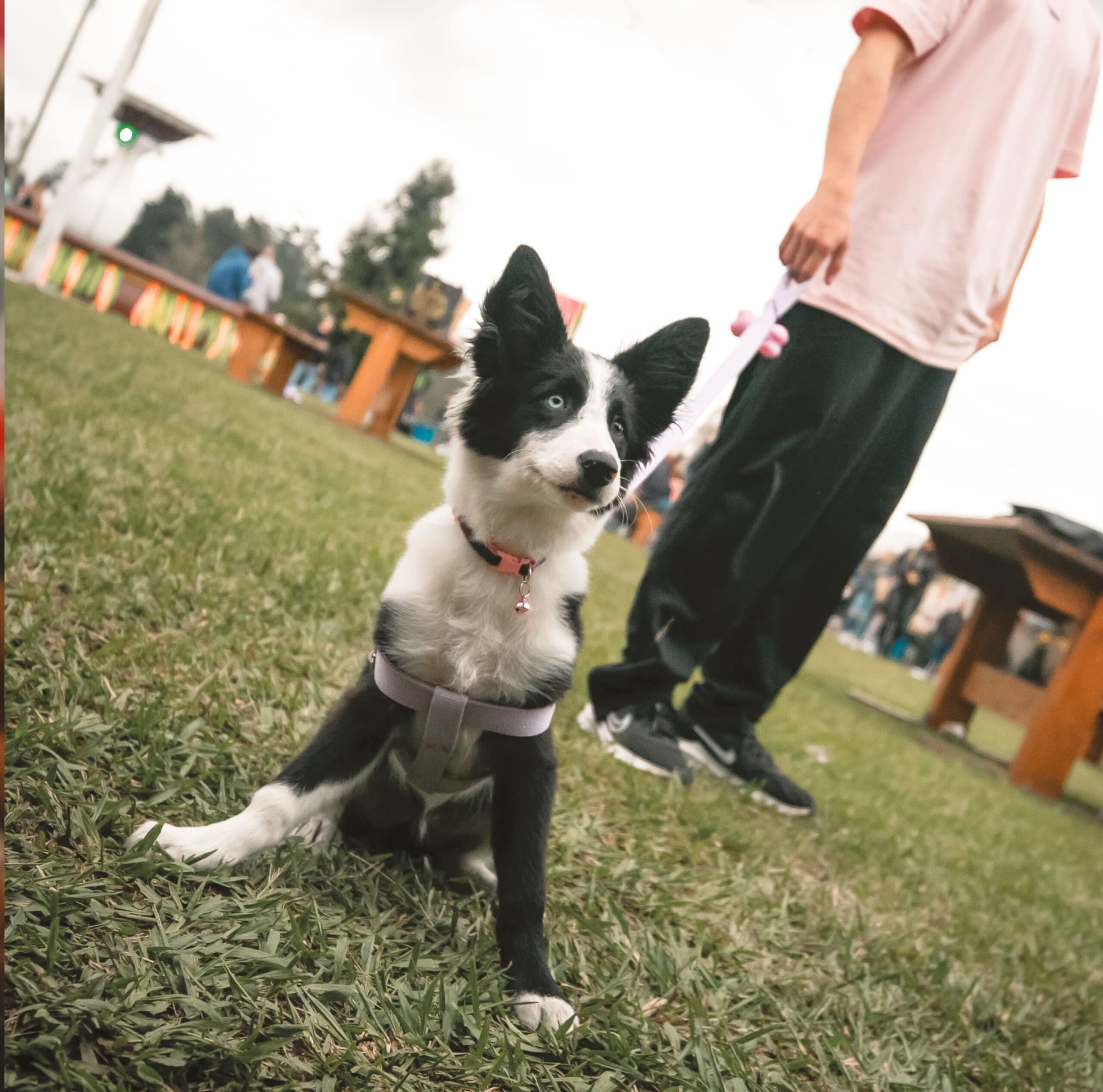 Claq Pop Up – Claq Pop Up