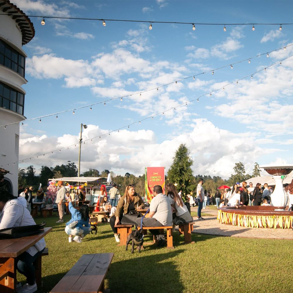 Claq Pop Up – Claq Pop Up